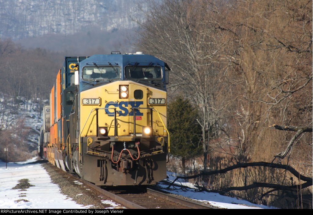 CSX 317